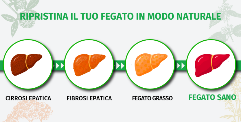 Zdrava jetra – Naturesfinest